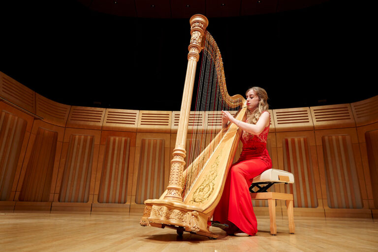 Interesting Facts About The Harp - Fact Bud